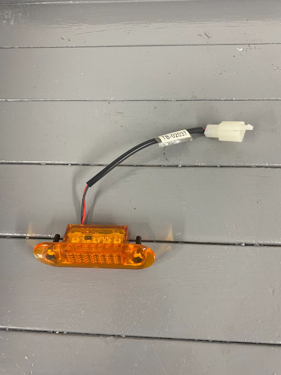 Electric Mobility Rascal Liteway 8 Indicator